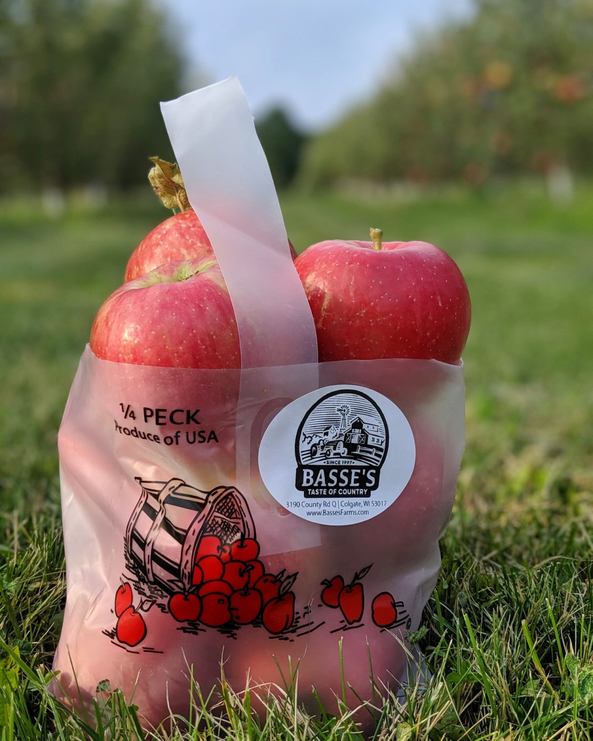 Wisconsin Apple Picking | U-Pick Apple Orchard Near Milwaukee - Basse's ...