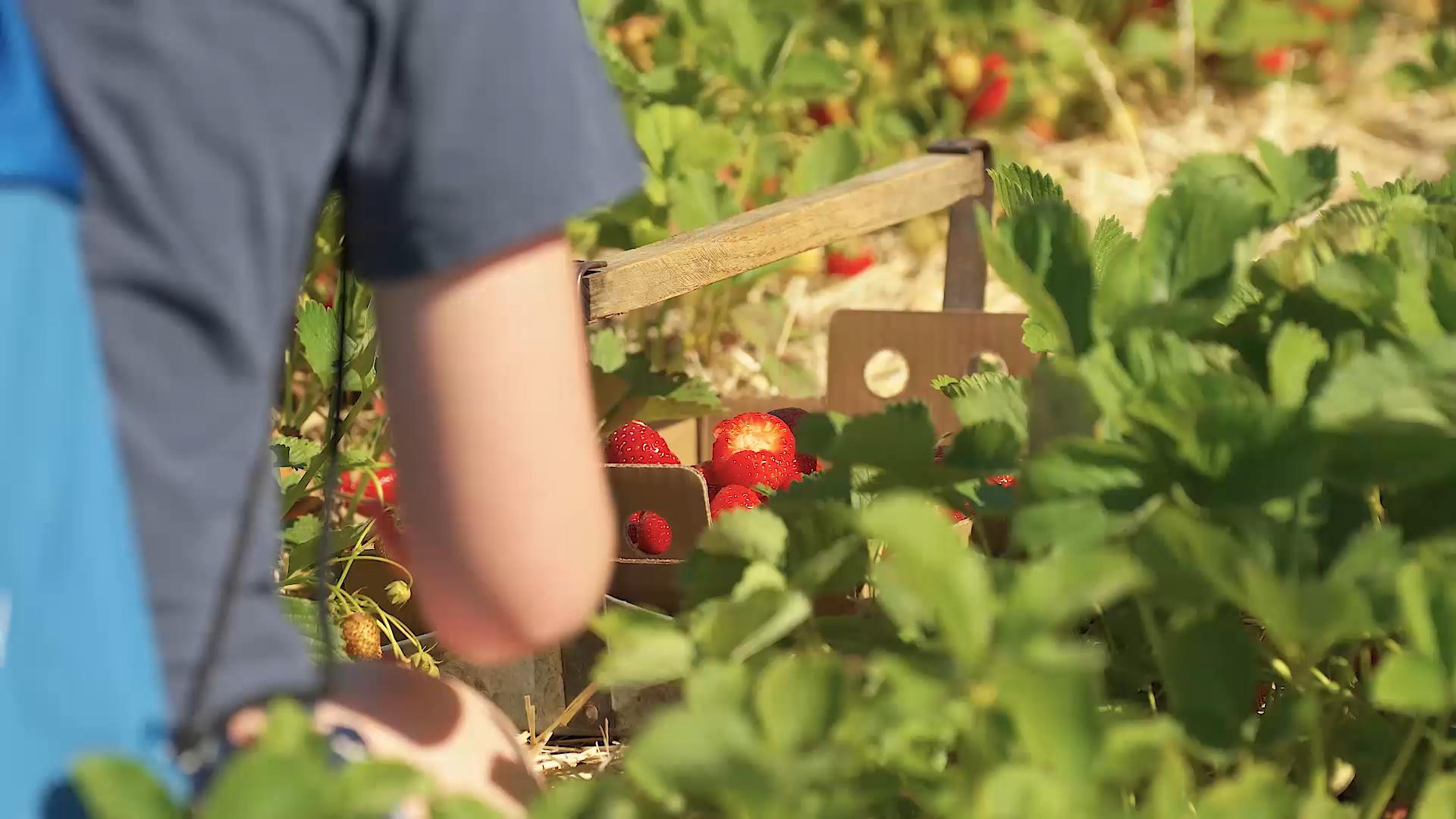 Wisconsin Farm Activities for the Whole Family | Pumpkin, Apple ...